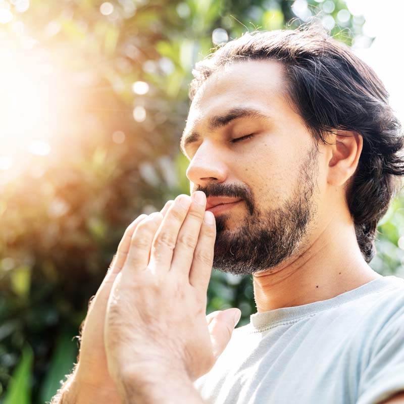 Ayurveda Mano & Majja Vaha Srotas Course for Mind & Nervous System