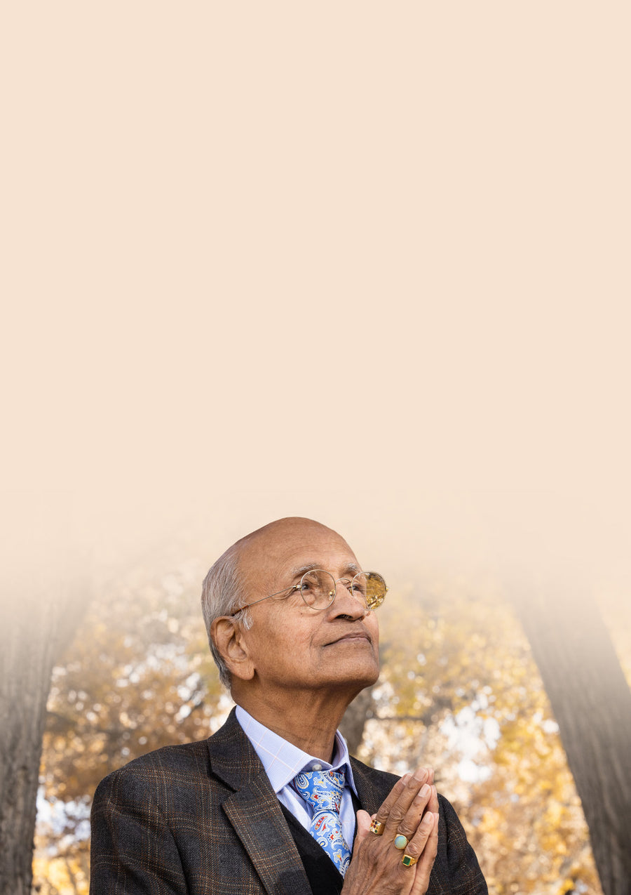 AyurPrana | Ayurveda Education and Coaching | Vasant Lad